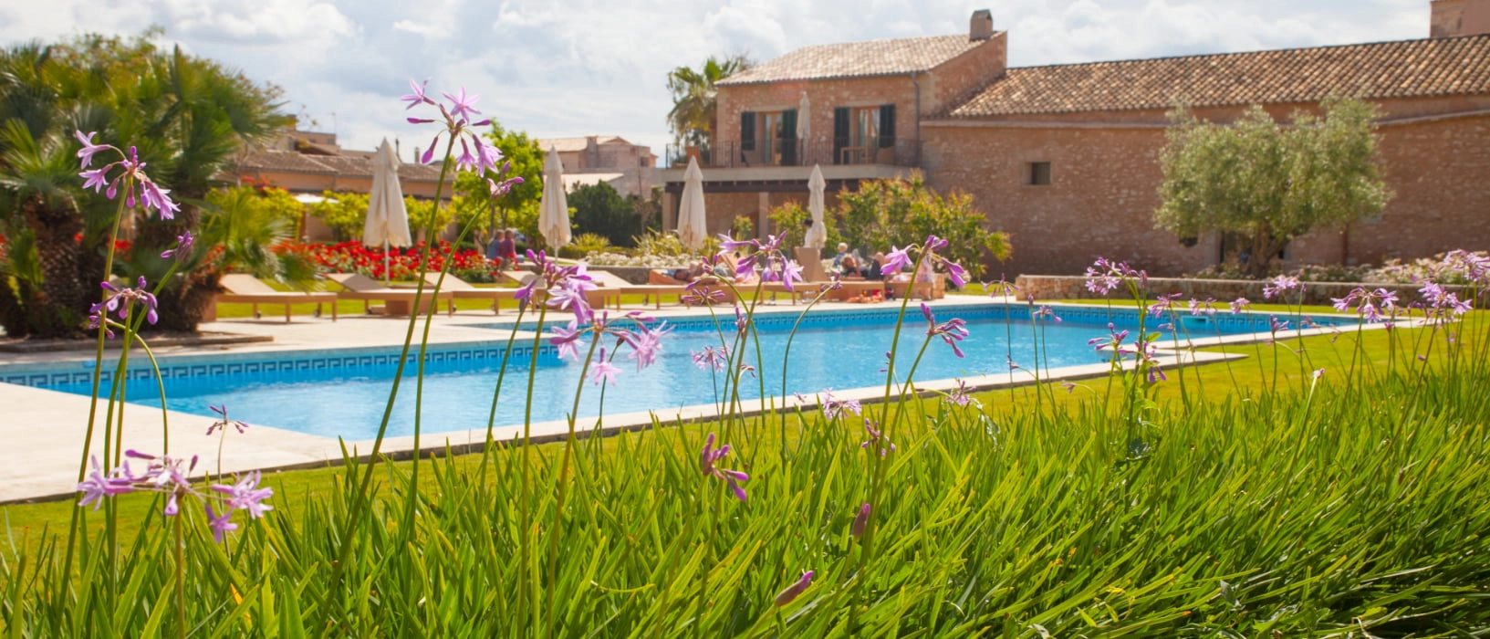 Hotel Can Bonico **** | Offers and Promotions